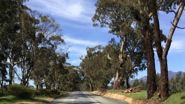 $2.143M Set for Buangor-Ben Nevis Road Rebuild | Mirage News